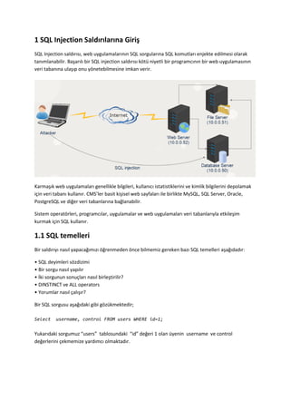 Sql Injection | PDF