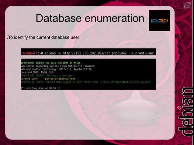Important SQLMap commands | PPT | Free Download