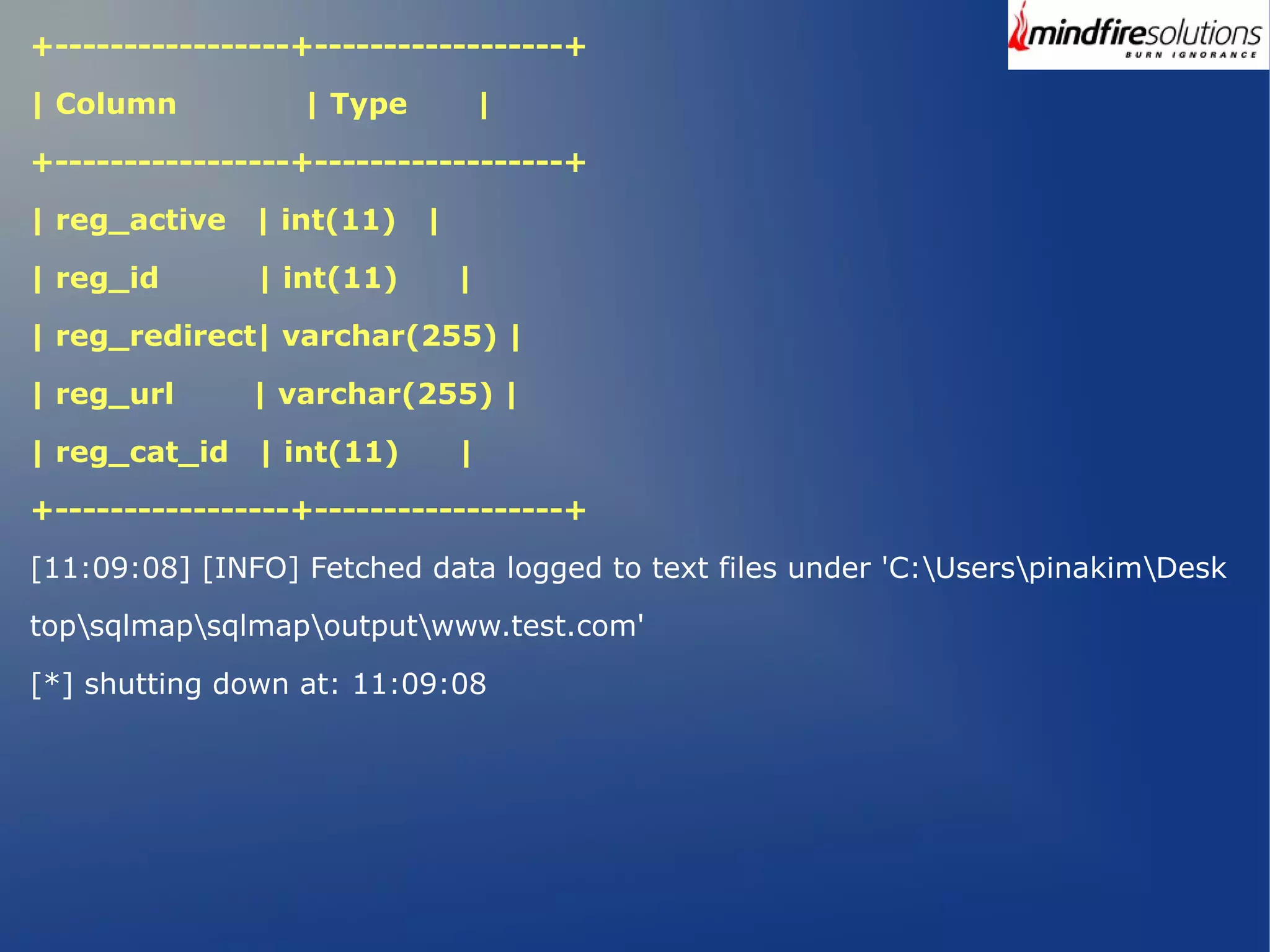 SQLMAP Tool Usage - A Heads Up | PPT