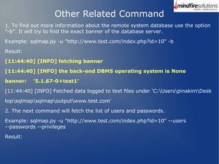 SQLMAP Tool Usage - A Heads Up | PPT