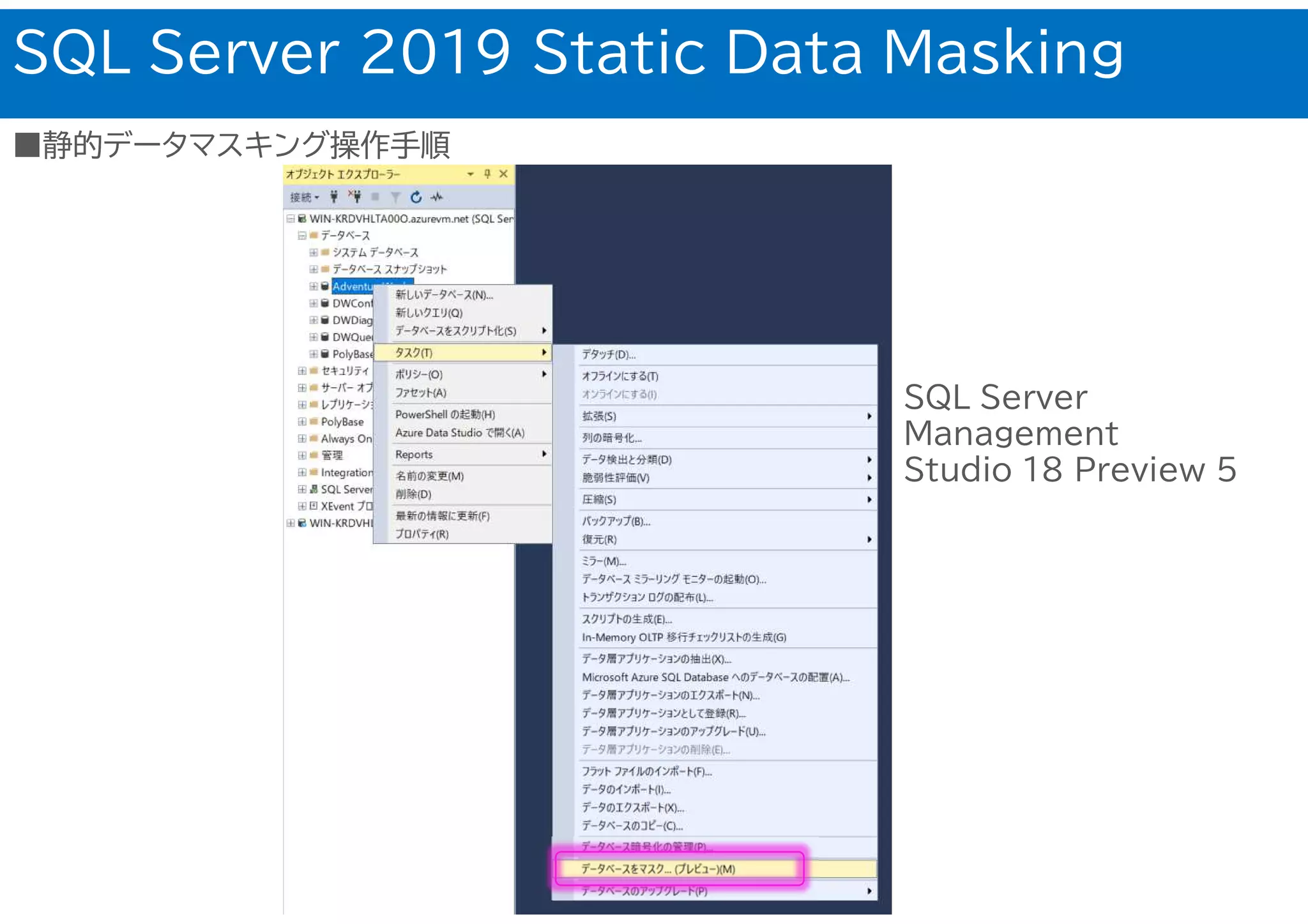 Sql serve2019 staticdatamaskting | PDF | Databases | Computer Software and Applications