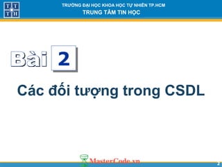 Bài 2 : Các đối tượng trong CSDL - SQL server | PDF