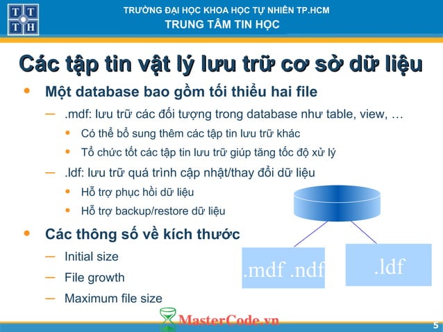Bài 2 : Các đối tượng trong CSDL - SQL server | PDF