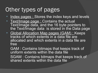 Sql Server Basics | PPT | Databases | Computer Software and Applications