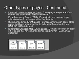 Sql Server Basics | PPT