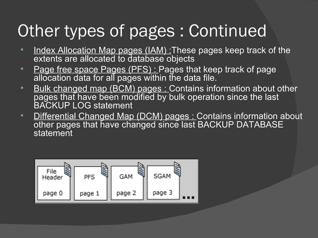 Sql Server Basics Ppt Databases Computer Software And Applications