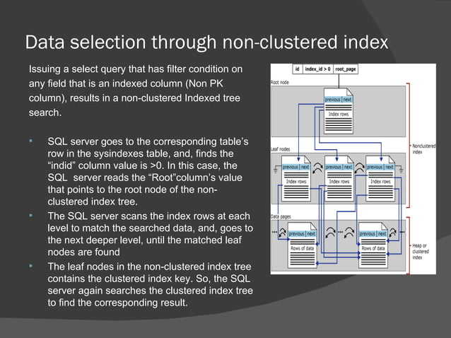 Sql Server Basics | PPT | Databases | Computer Software and Applications