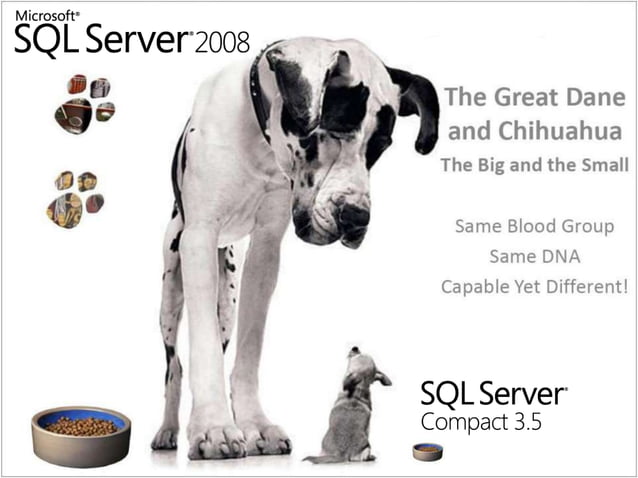SQL Server Compact | PPT