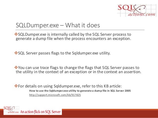 Sql Server Dump Analysis