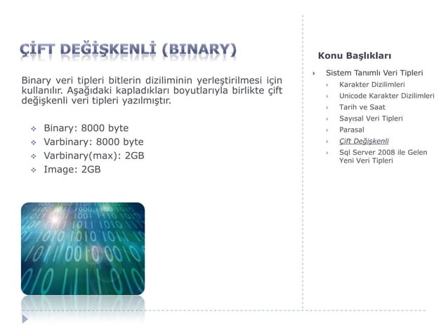 Sql server veri tipleri | PPTX