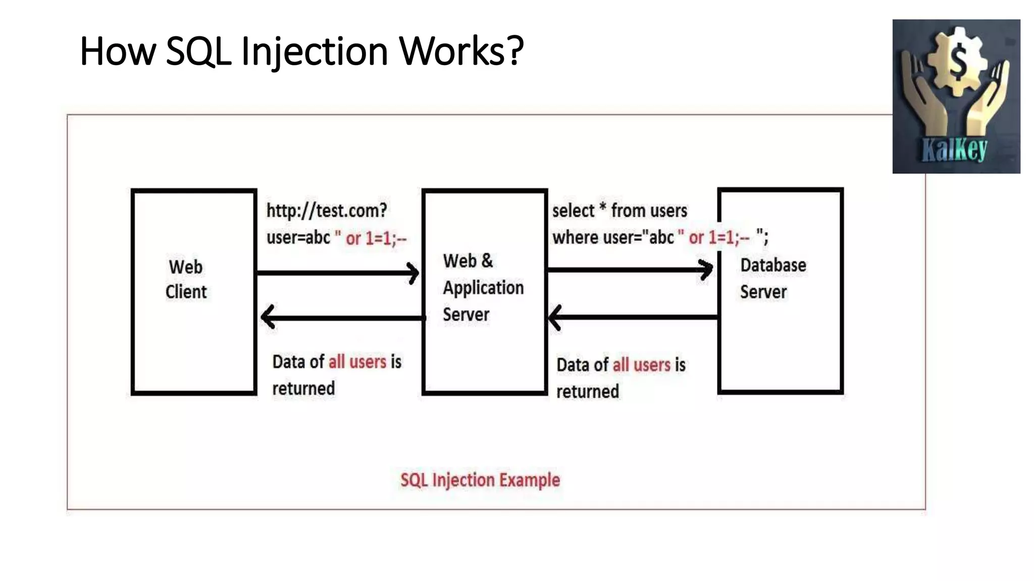 Sql Injection | PPTX | Databases | Computer Software and Applications