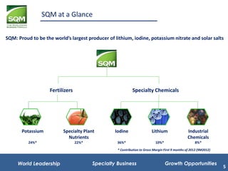 Sqm corporate presentation jan v 9_m12_vf | PDF