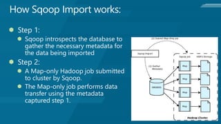 Introduction to Apache Sqoop | PDF