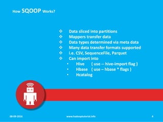 Sqoop Explanation with examples and syntax | PPT