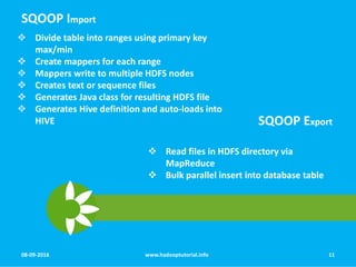 Sqoop Explanation with examples and syntax | PPT