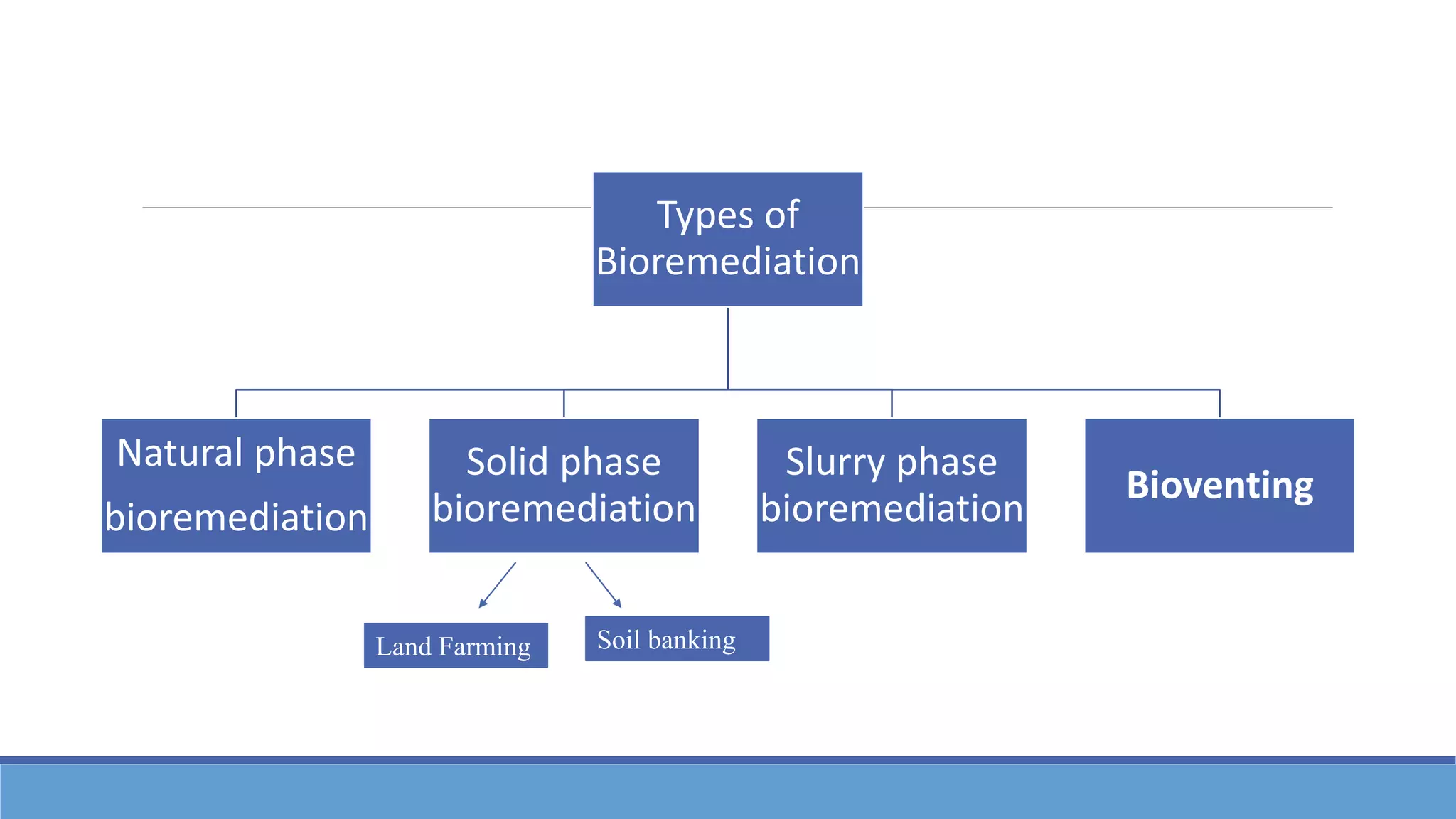Bioremediation.pptx
