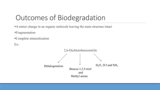 Bioremediation.pptx