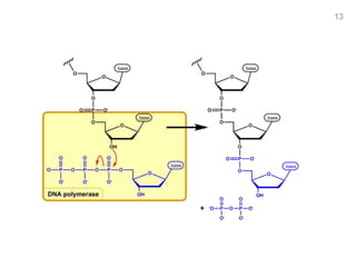 Next Generation Sequencing machines | PPT
