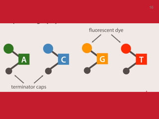 Next Generation Sequencing machines | PPT