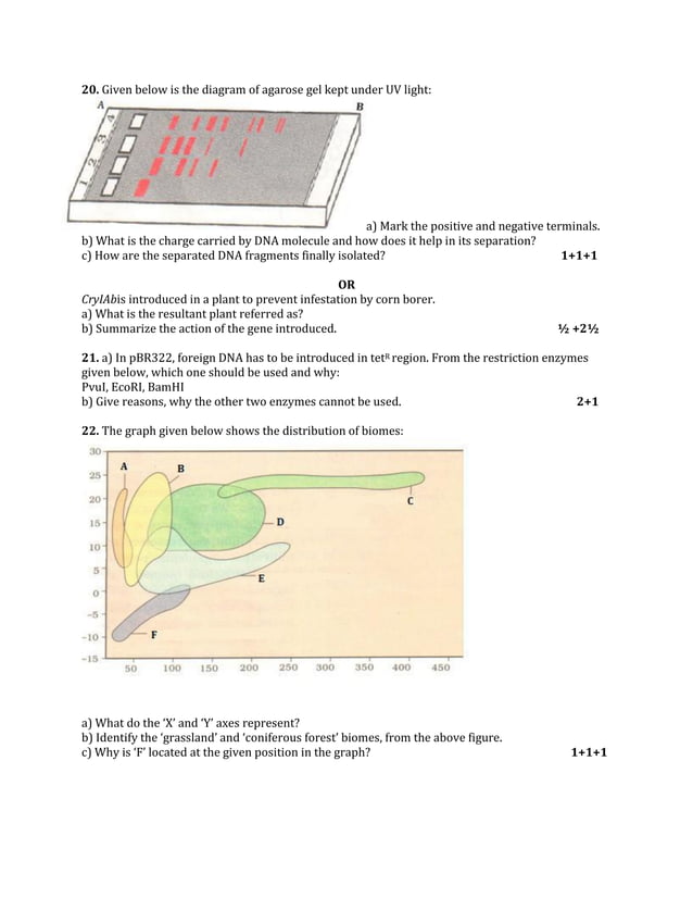 SQP_II_BIO_2016-17-1.pdf