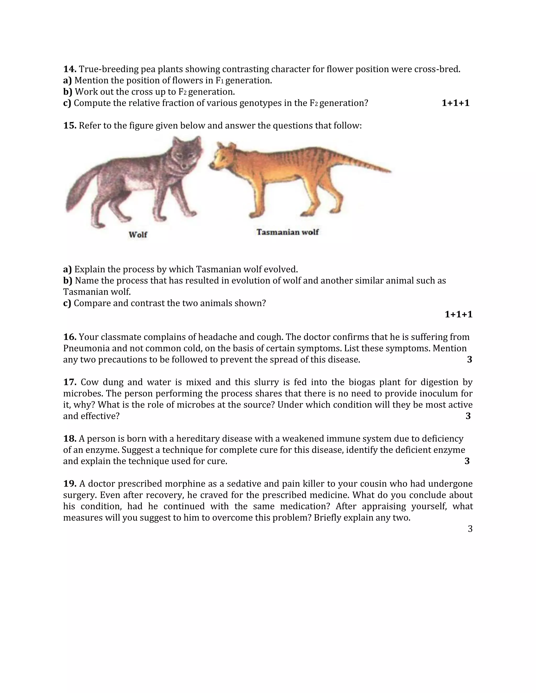 SQP_II_BIO_2016-17.pdf