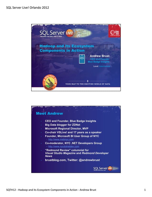 Hadoop And Its Ecosystem Components In Action Pdf