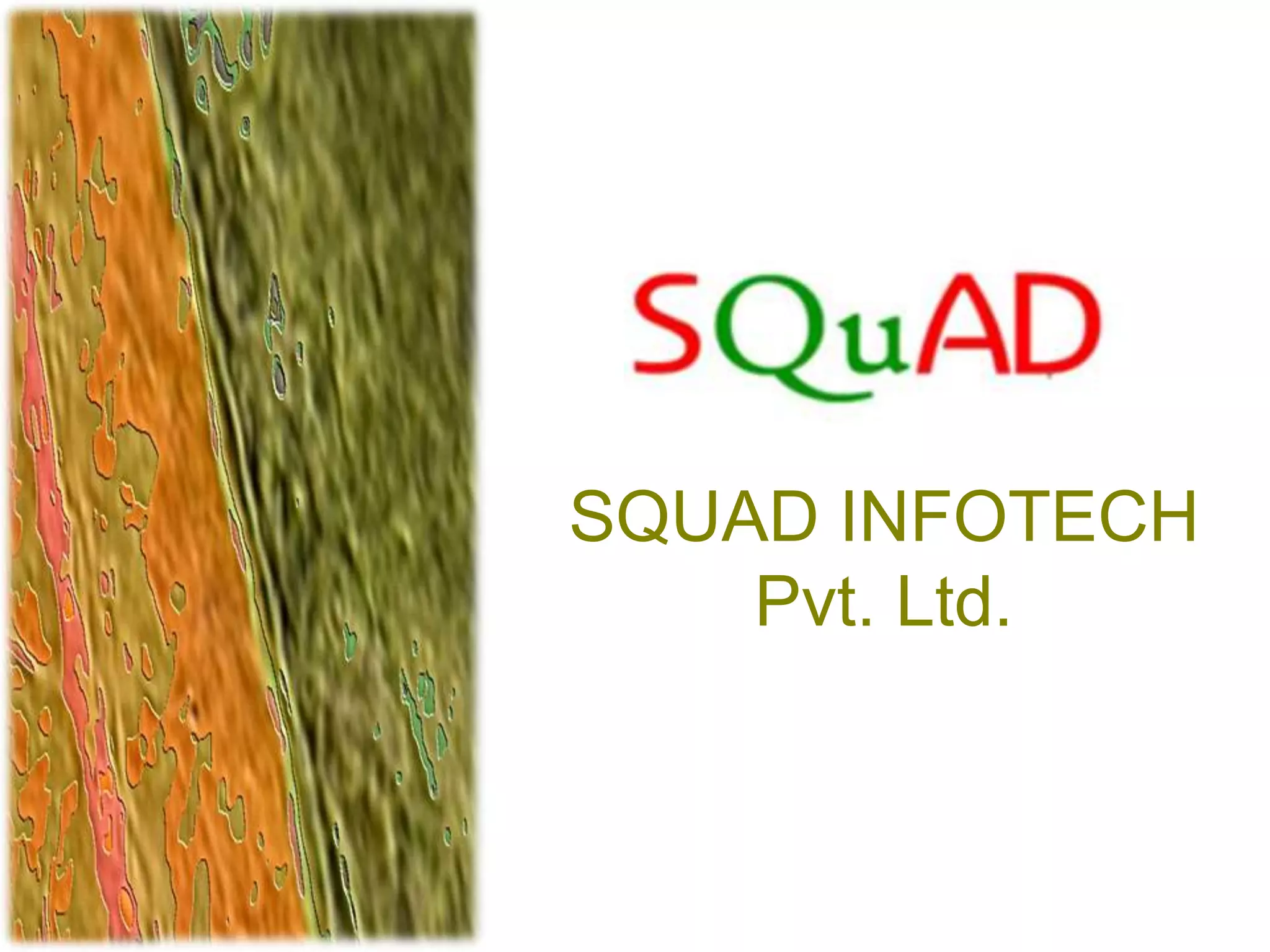 Squad infotech: Software testing training center | PPTX