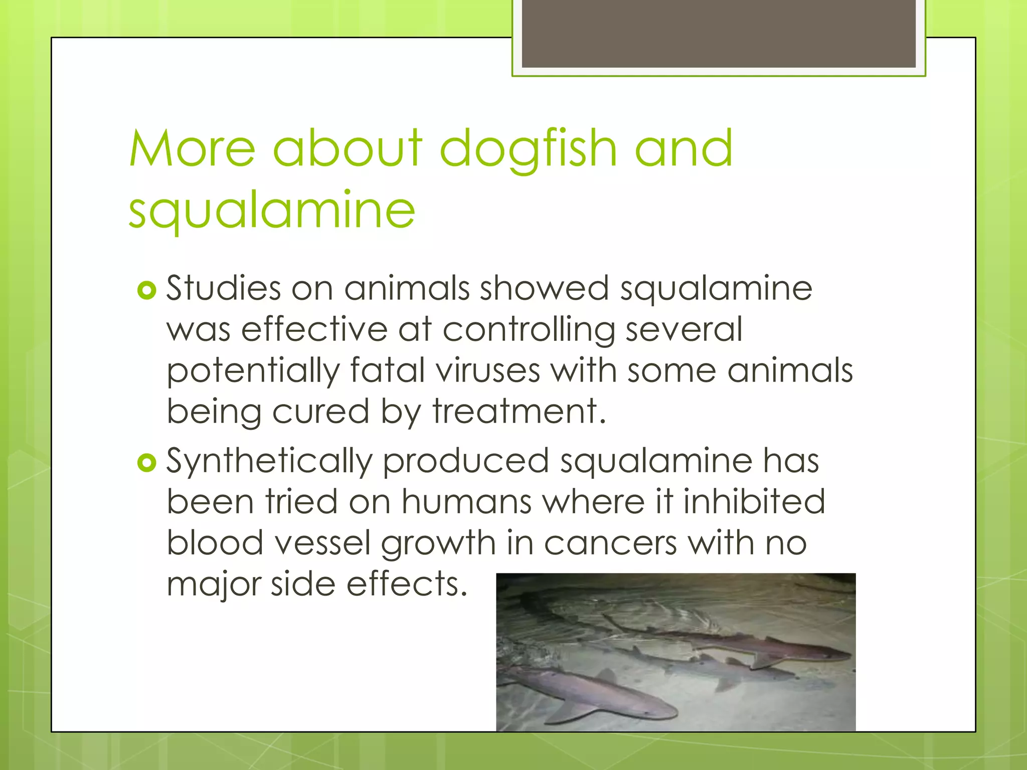 Squalamine stops human viruses' | PPTX | Chemistry | Science