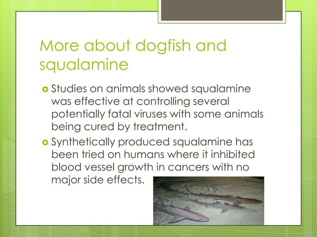 Squalamine stops human viruses' | PPTX | Chemistry | Science