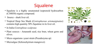 squalene.pptx in Sharks Byproducts and Uses | PPTX