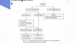 "Chronic Otitis Media: Understanding Squamousal Type CSOM and Its ...