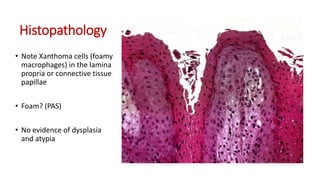 Verruciform Xanthoma Histology