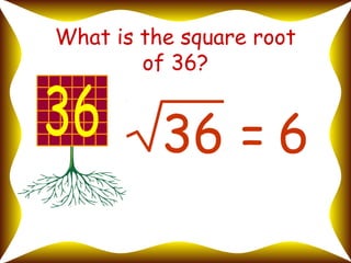 Square and square roots | PPT