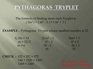 Square and square root | PPTX
