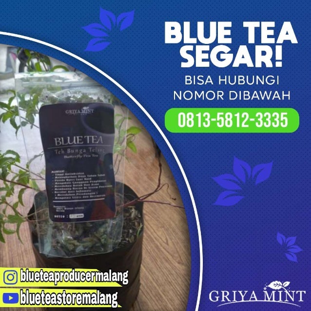 FRESH, WA 0813-5812-3335, Bunga Telang Campur Lemon Blue Tea Bangkalan ...