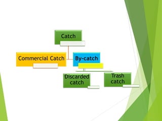 Square codend mesh | PPT | Fishing Sports | Sports