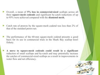 Square codend mesh | PPT