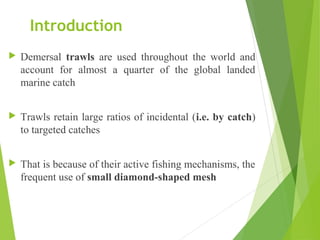 Square codend mesh | PPT