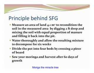Square foot gardening_with_moringa | PPT