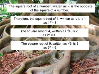 Square Numbers & Square Roots of Numbers | PPT
