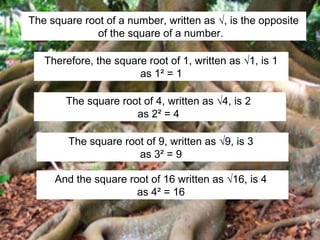Square Numbers & Square Roots of Numbers | PPT