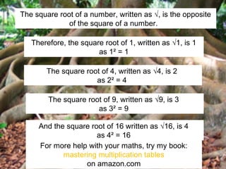 Square Numbers & Square Roots of Numbers | PPT