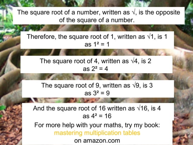 Square Numbers & Square Roots of Numbers | PPT | Free Download
