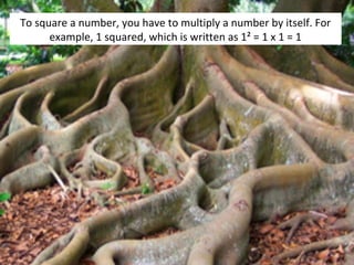 Square Numbers & Square Roots of Numbers | PPT
