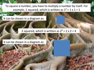 Square Numbers & Square Roots of Numbers | PPT