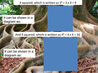 Square Numbers & Square Roots of Numbers | PPT