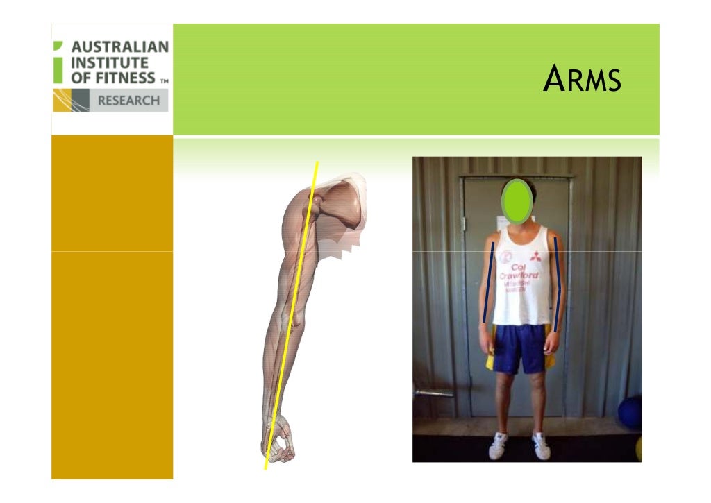 Square shoulders strong arms