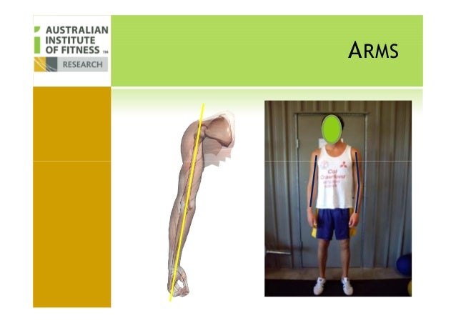 Square shoulders strong arms