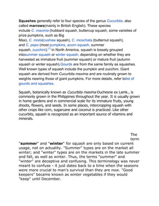 Squashes | DOCX