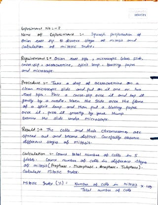Squash preperation of Onion root tip for mitosis.pdf
